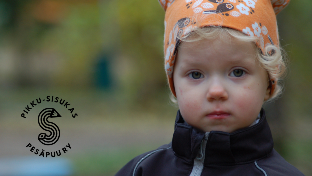 Pikku-Sisukas sijoitettujen lasten tueksi varhaiskasvatukseen - Pesäpuu